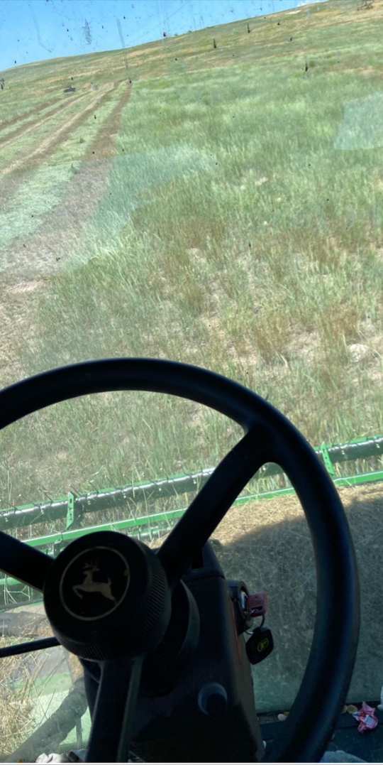 Dryland Cutting Leads to Swather Teeth Replacement
