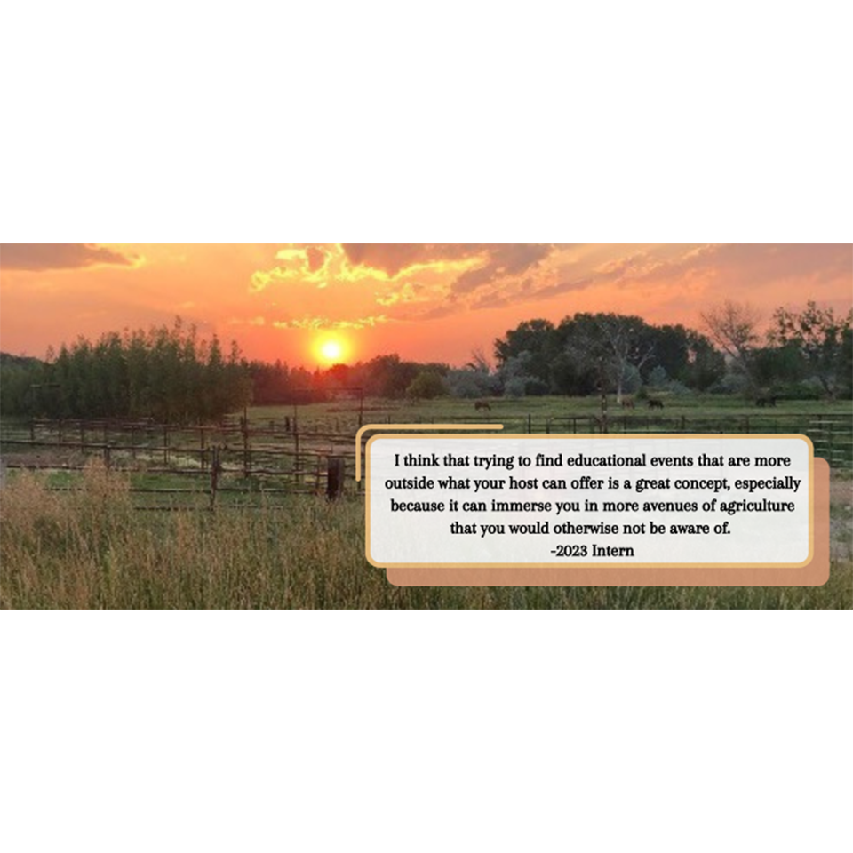 Quote | 2023 Intern